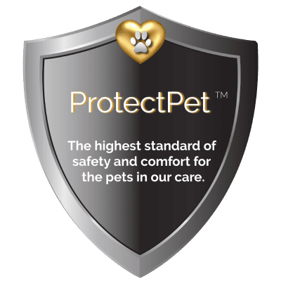Luxury Dog & Cat Boarding in Springfield, VA | Olde Towne Pet Resort