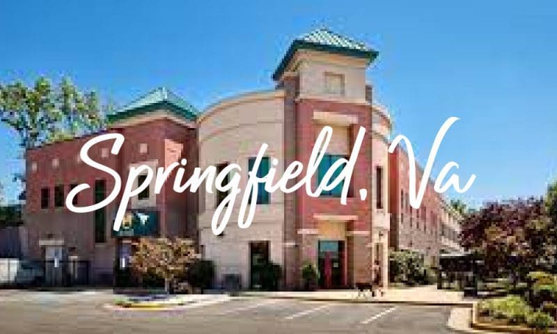 Luxury Dog & Cat Boarding in Springfield, VA | Olde Towne Pet Resort