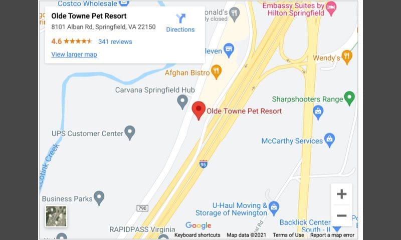 Luxury Dog & Cat Boarding in Springfield, VA | Olde Towne Pet Resort